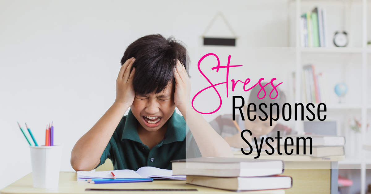 Stress Response System {EP 94} - Robyn Gobbel